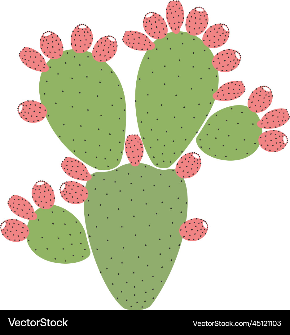 Prickly pear Royalty Free Vector Image - VectorStock