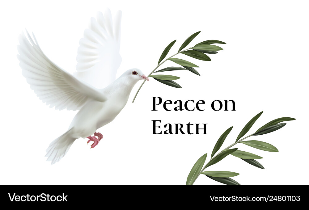 White dove peace flying Royalty Free Vector Image