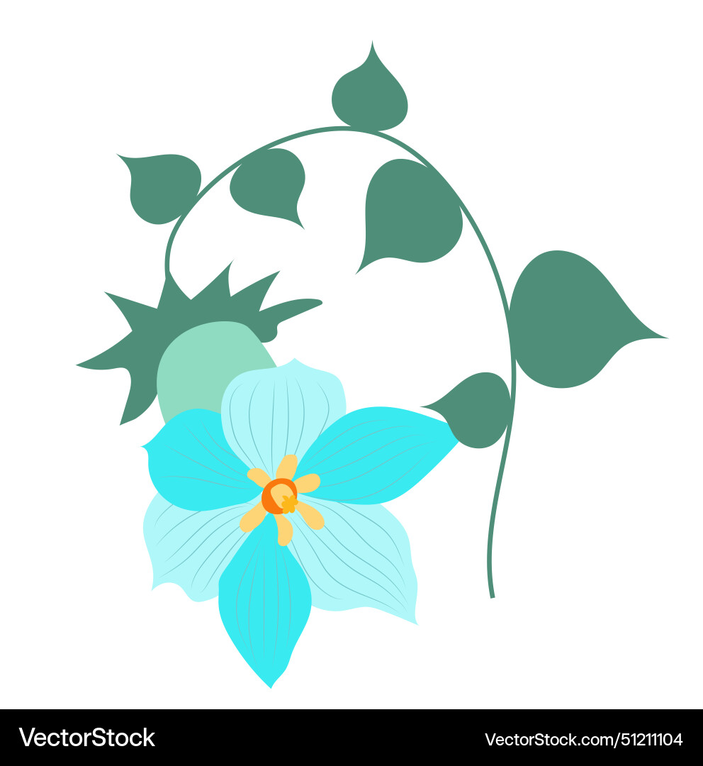 Abstract blue tropical lily in flat design Vector Image