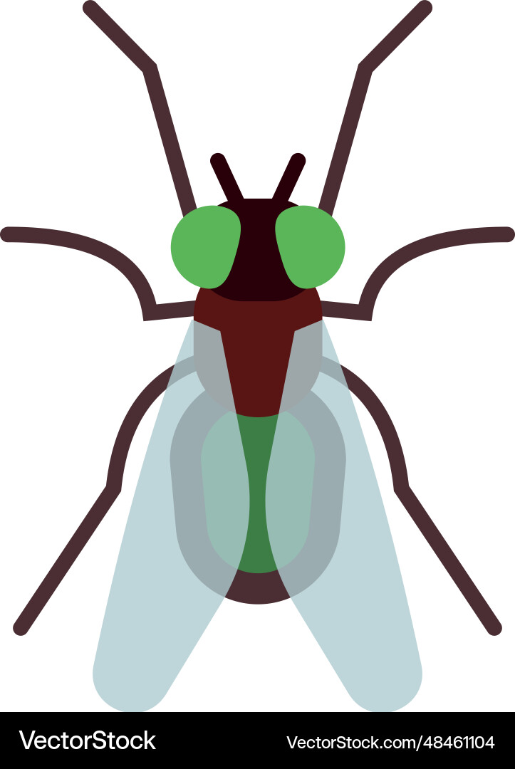 Fly flat insect icon pest color symbol Royalty Free Vector