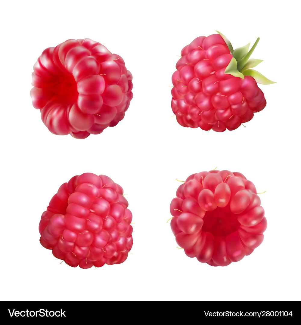 Set raspberry Royalty Free Vector Image - VectorStock
