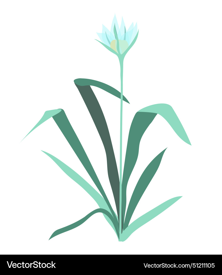 Abstract blue strelitzia in flat design tropical Vector Image