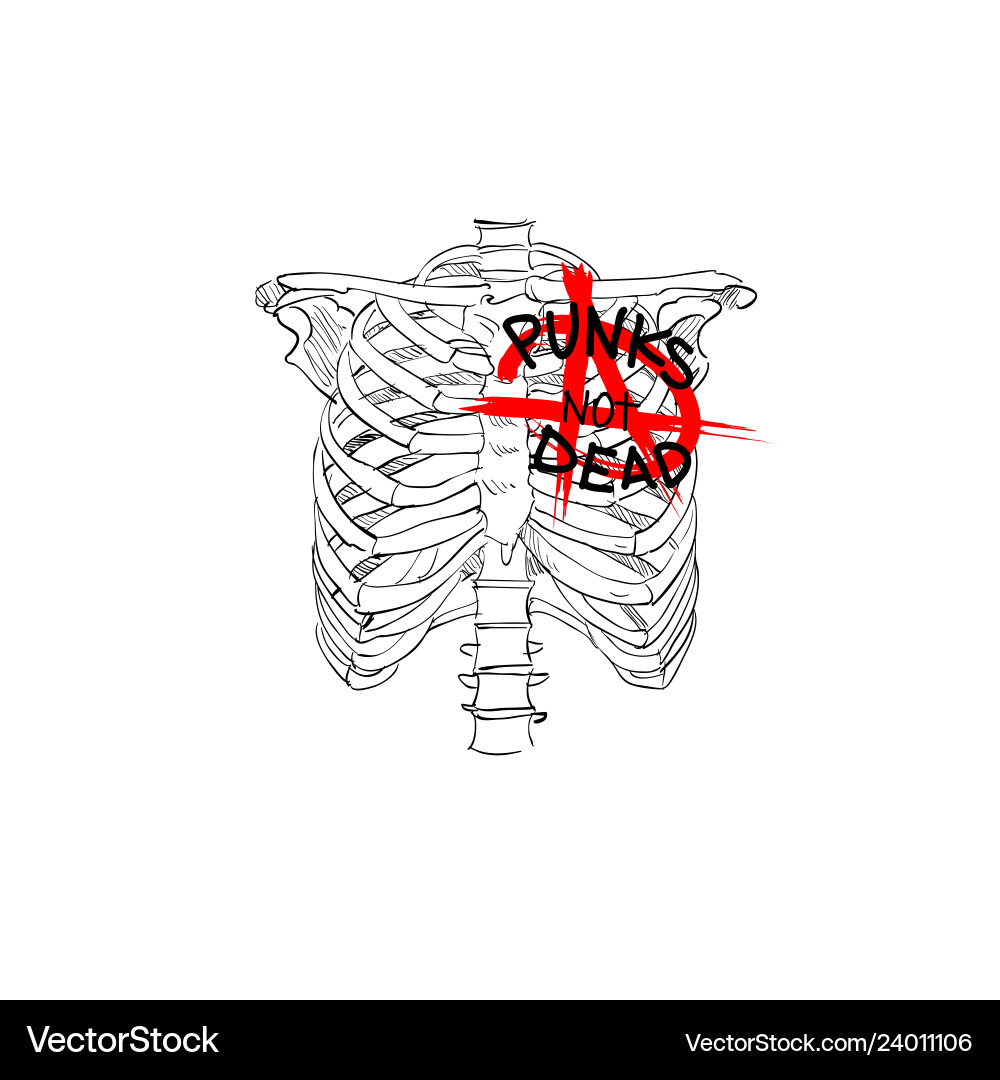 Chest skeleton with anarchy symbol punks not dead Vector Image