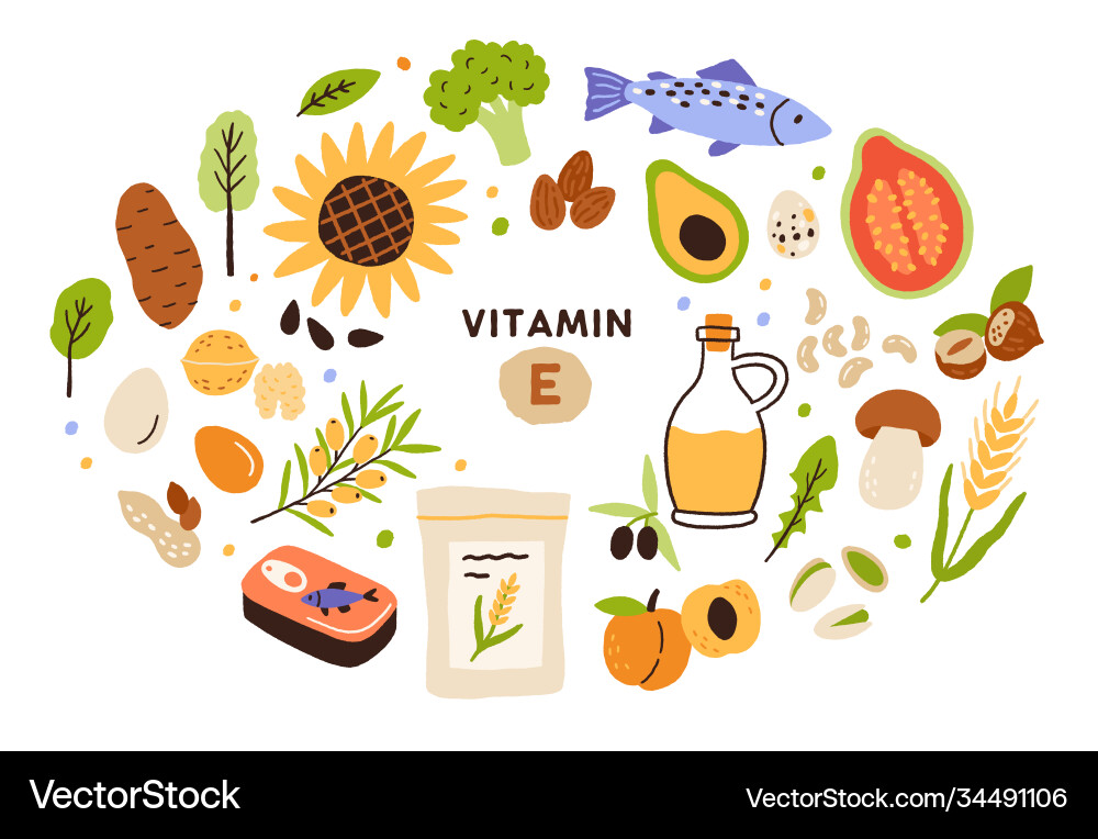 Collection vitamin e sources balanced Royalty Free Vector