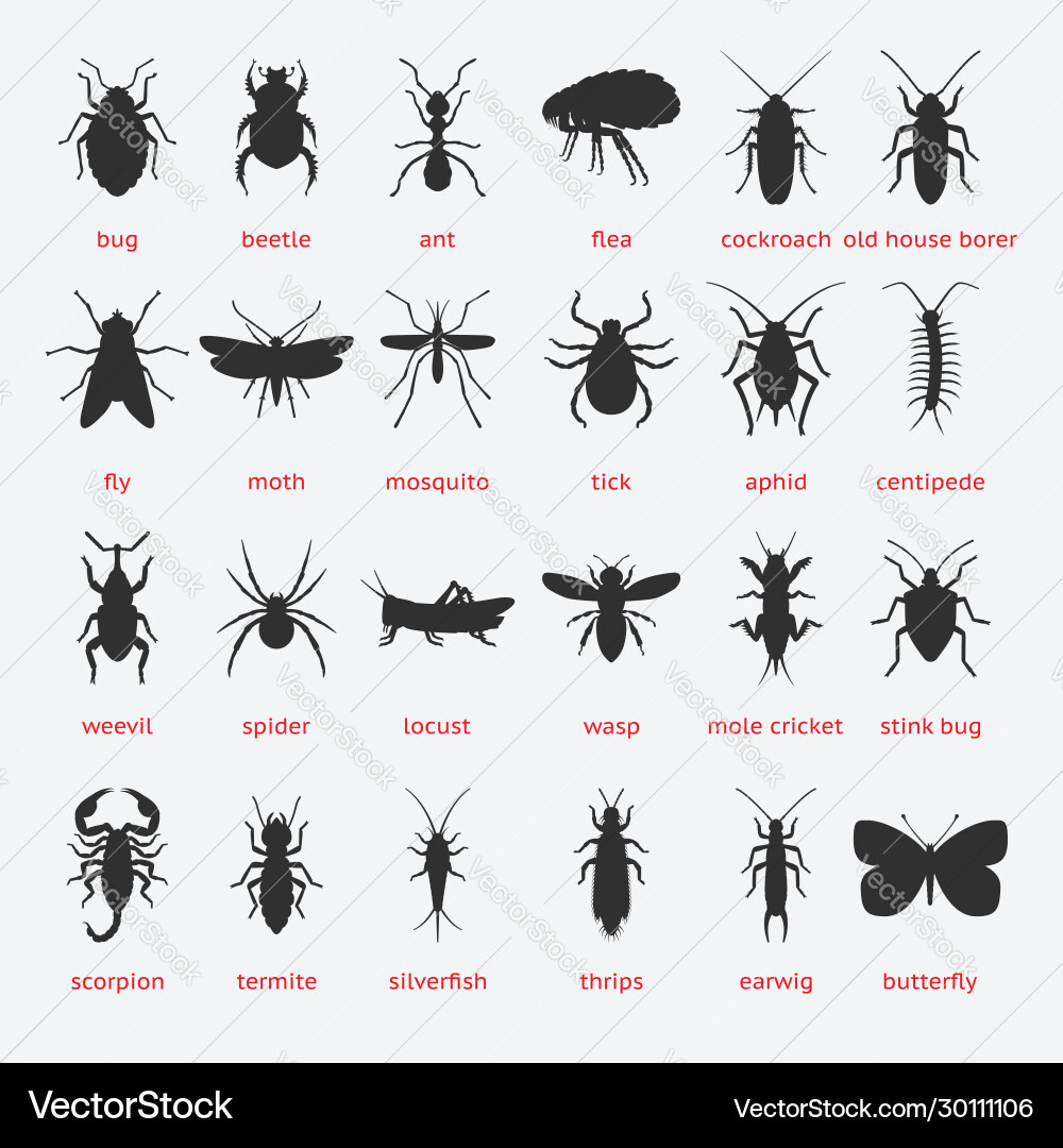 Pest control insect black silhouette set Vector Image