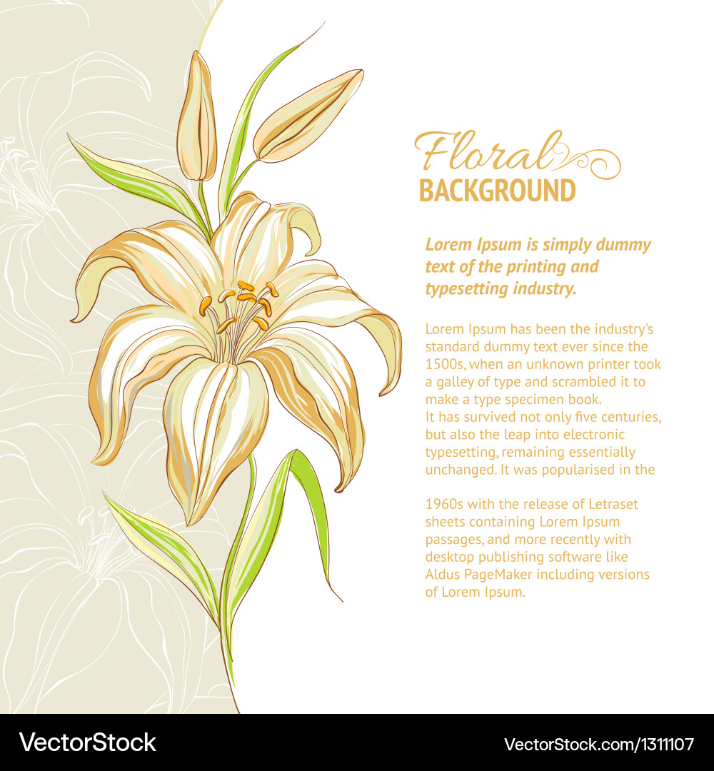 Lily flower background Royalty Free Vector Image