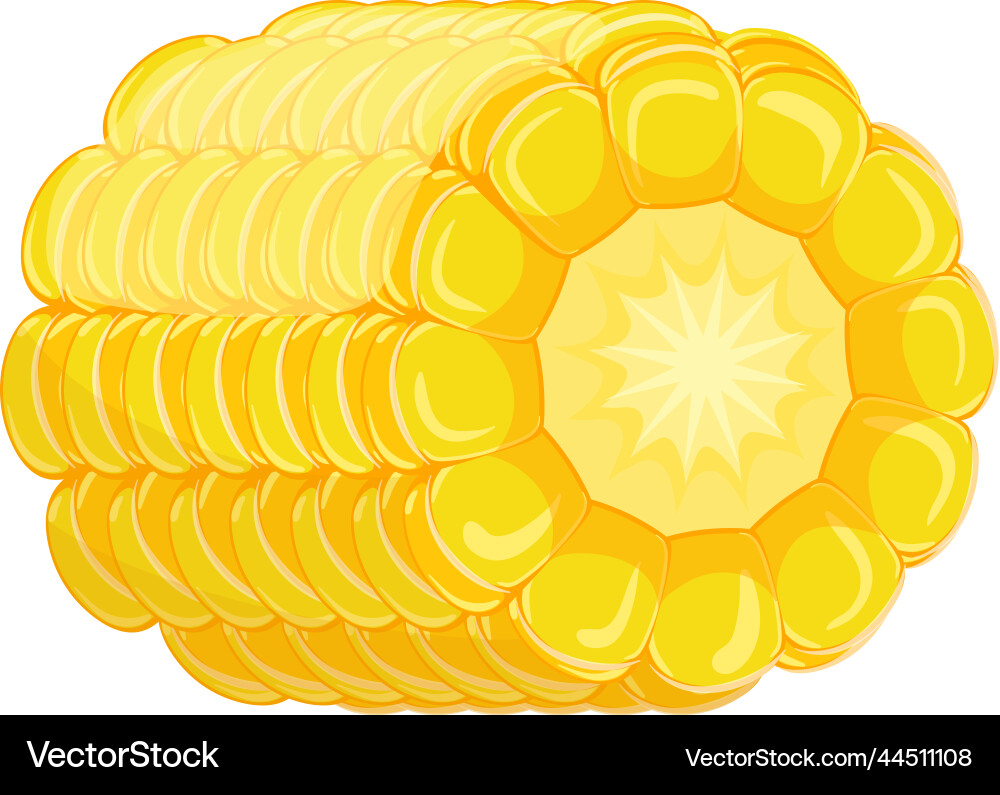 Corn cut cartoon Royalty Free Vector Image - VectorStock