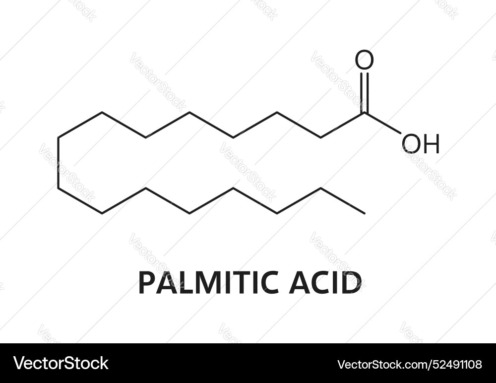 Palmitic acid molecule formula chemical structure Vector Image