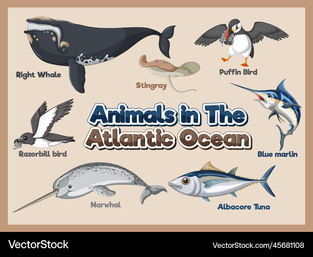 Set of animals in the atlantic ocean Royalty Free Vector