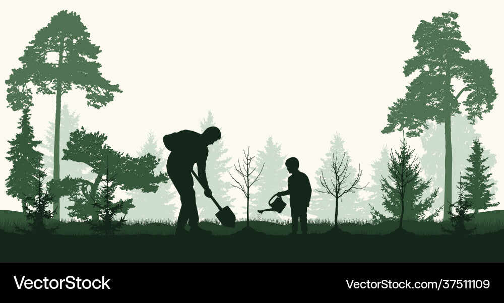 Bepflanzung von Bäumen im Wald Lizenzfreies Vektorbild