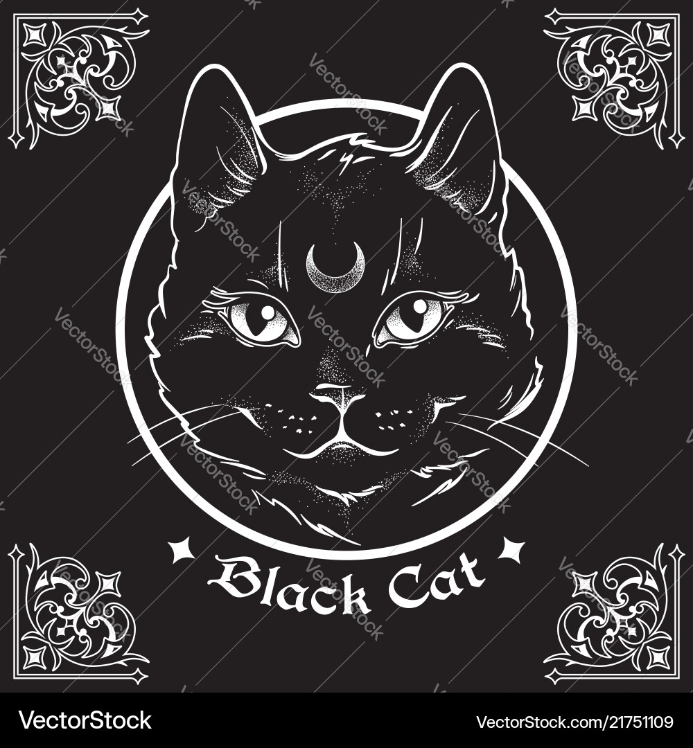 Hand drawn black cat with moon on his forehead Vector Image