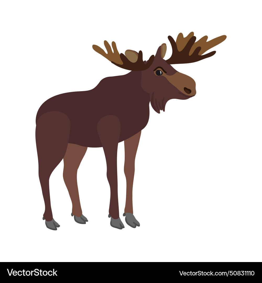 Drawing mooseelk Royalty Free Vector Image - VectorStock