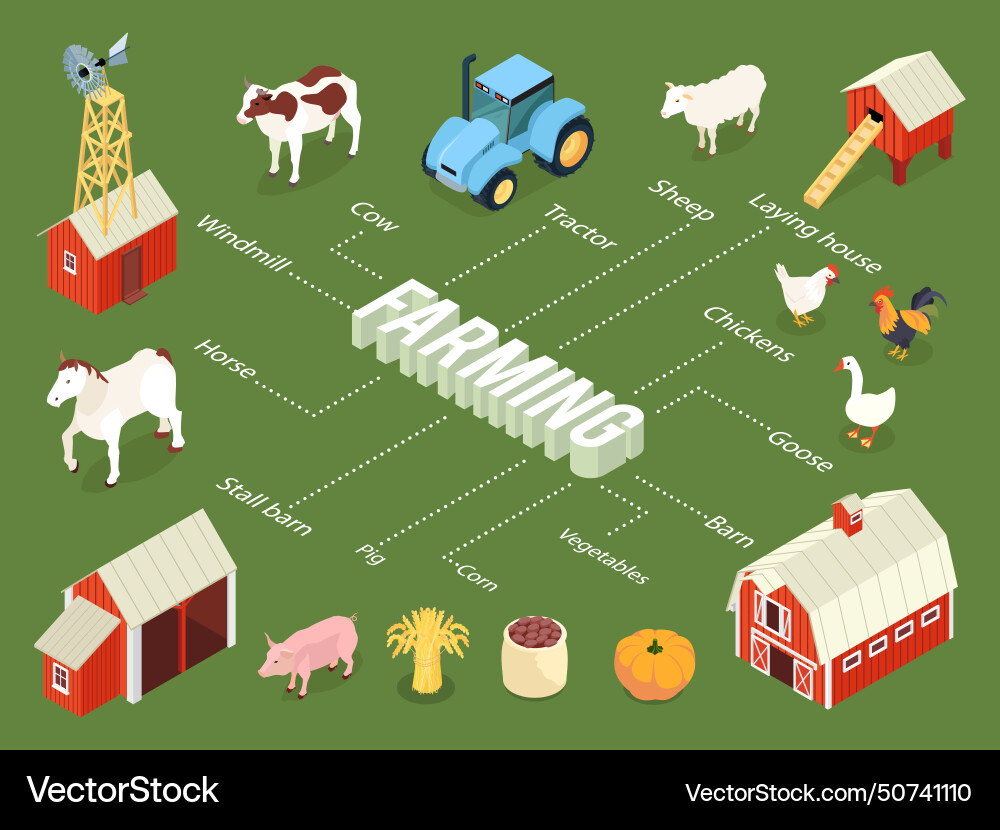 Farm isometric flowchart Royalty Free Vector Image