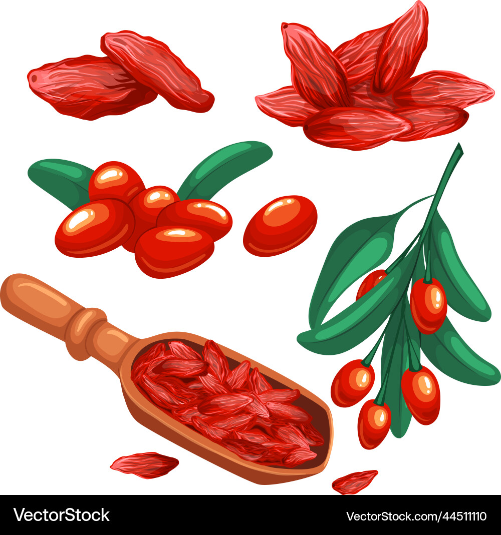 Goji berry red set cartoon Royalty Free Vector Image