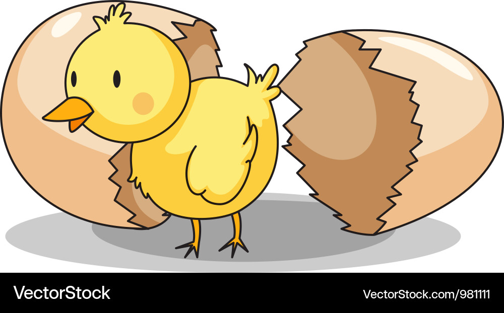 Chick hatching Royalty Free Vector Image - VectorStock
