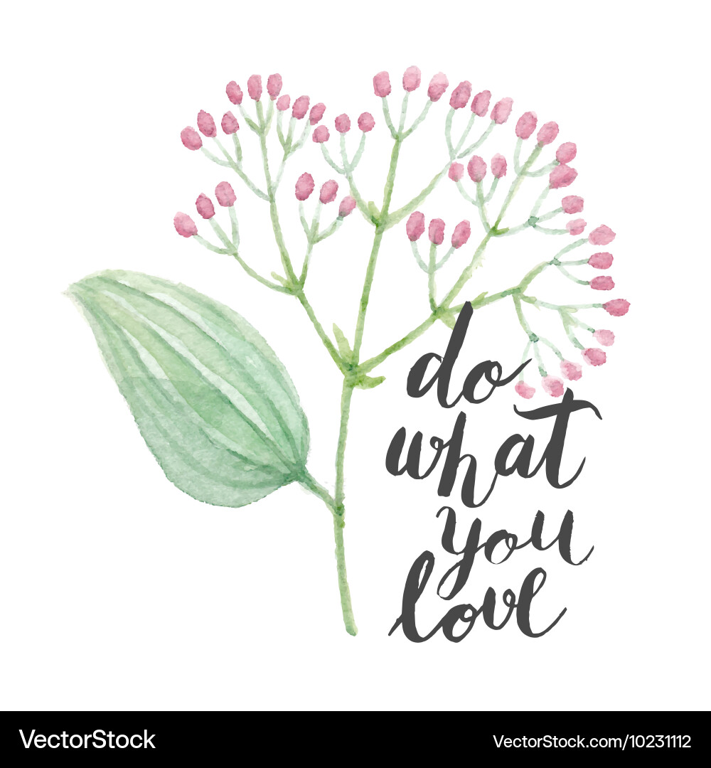 Calligraphy text with watercolor flower Royalty Free Vector