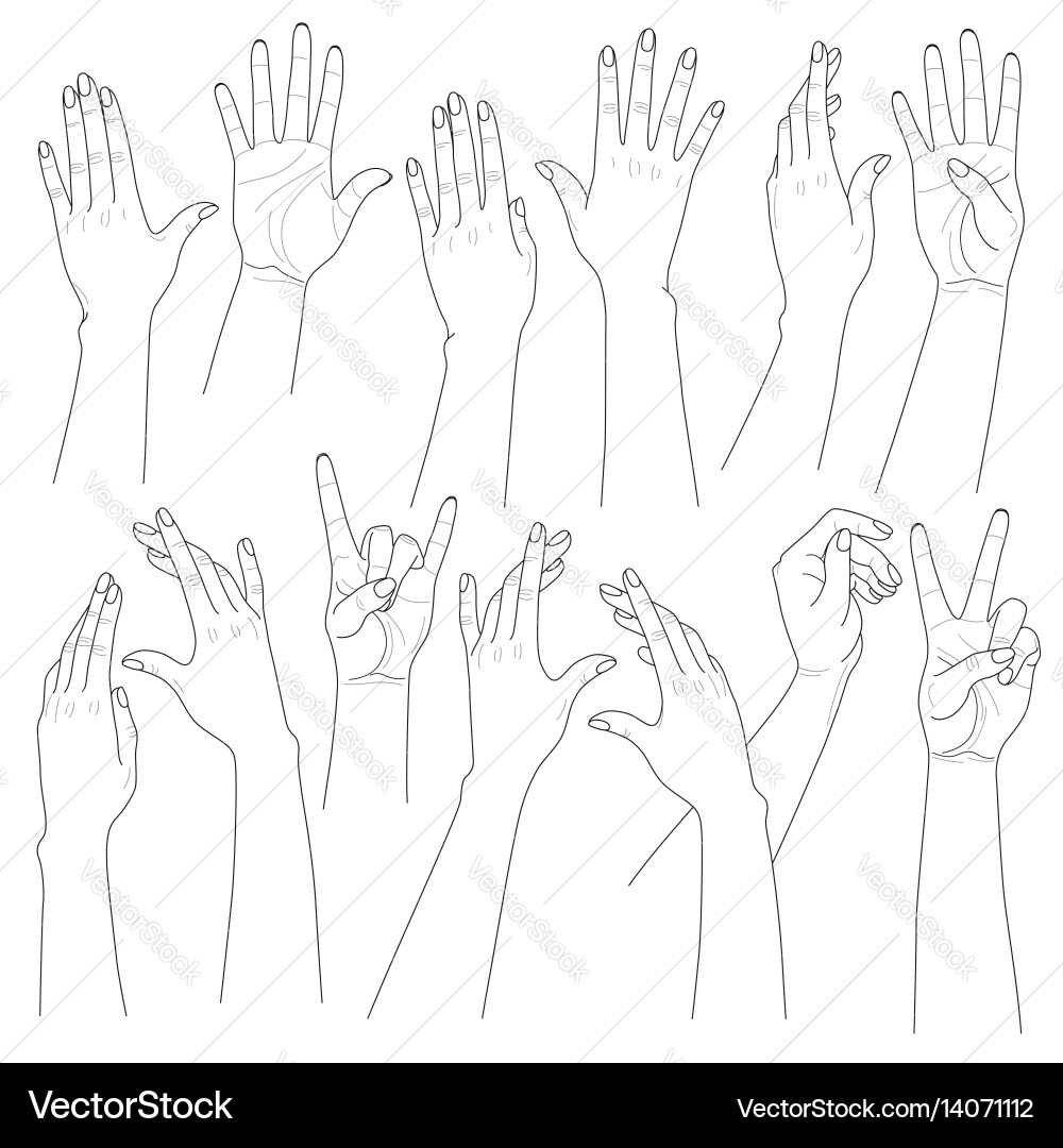 Hand Gestures Set Royalty Free Vector Image - VectorStock