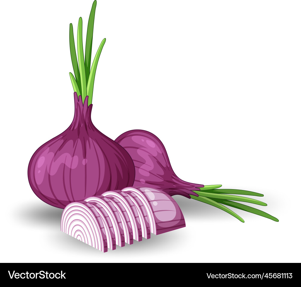 Isolated red onion cartoon Royalty Free Vector Image