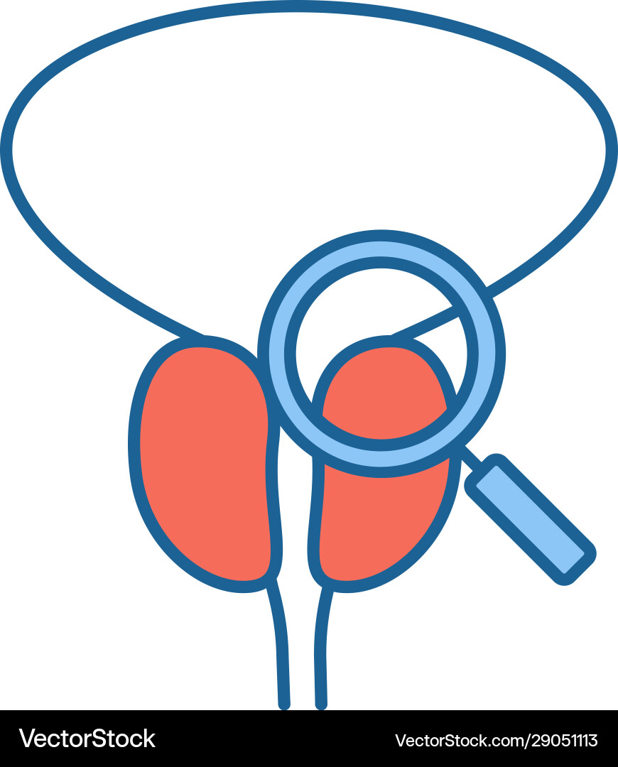 Prostate Exam Check Icon Royalty Free Vector Image