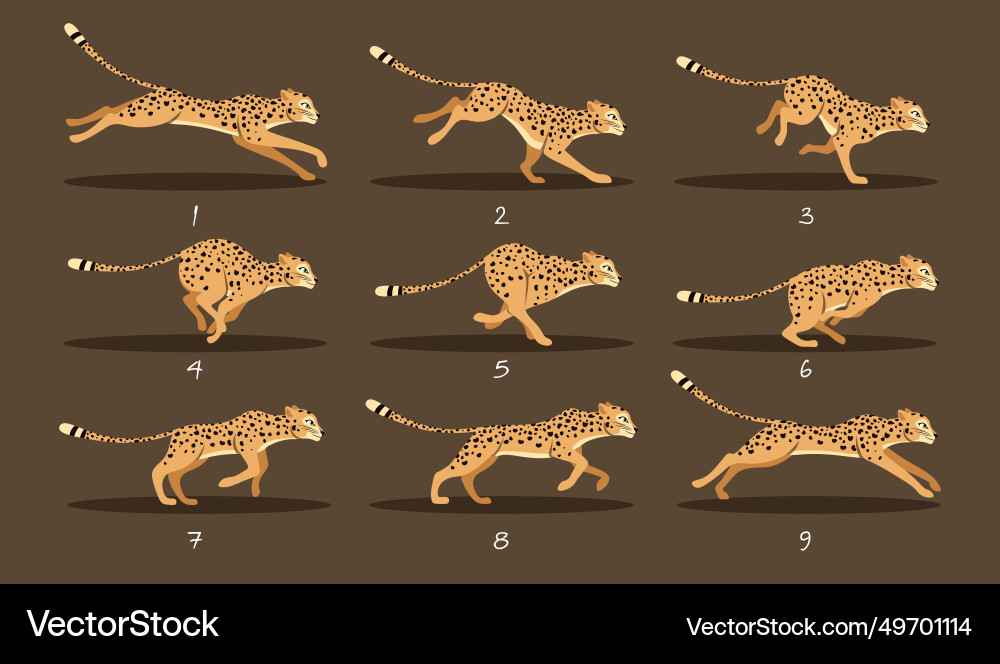 Leopard run cycle Royalty Free Vector Image - VectorStock