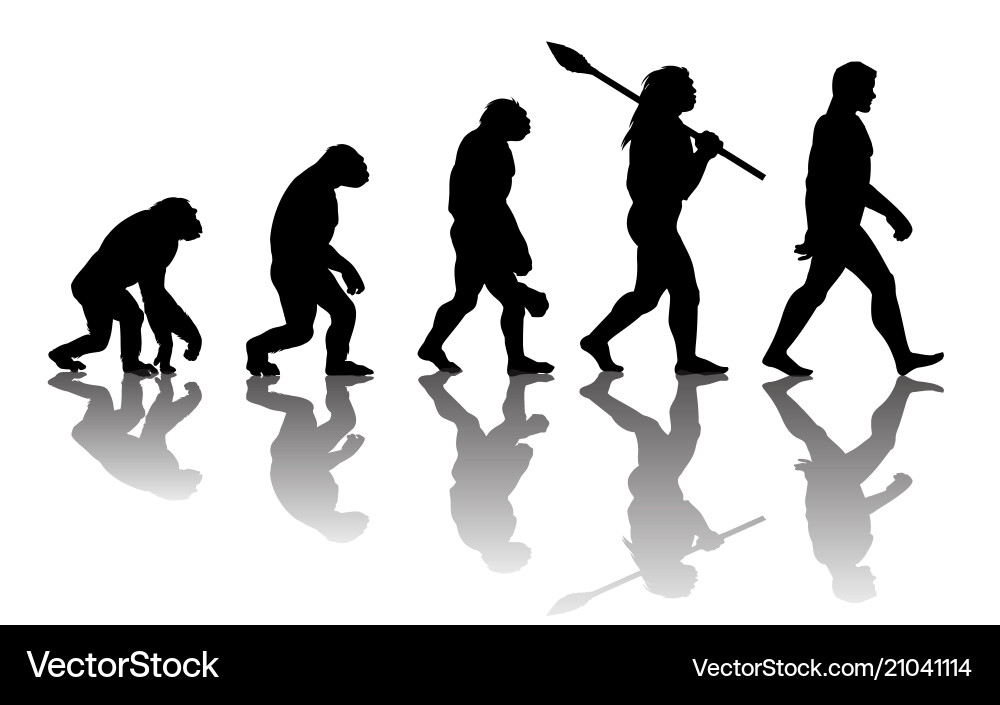 Evolution Walk Vector Images (over 670)