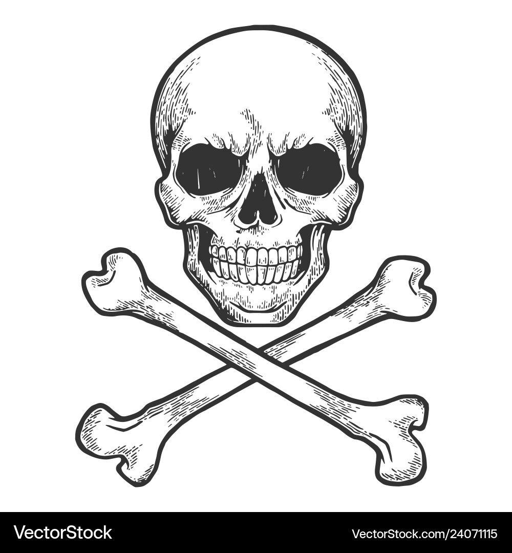 Jolly roger sketch engraving Royalty Free Vector Image