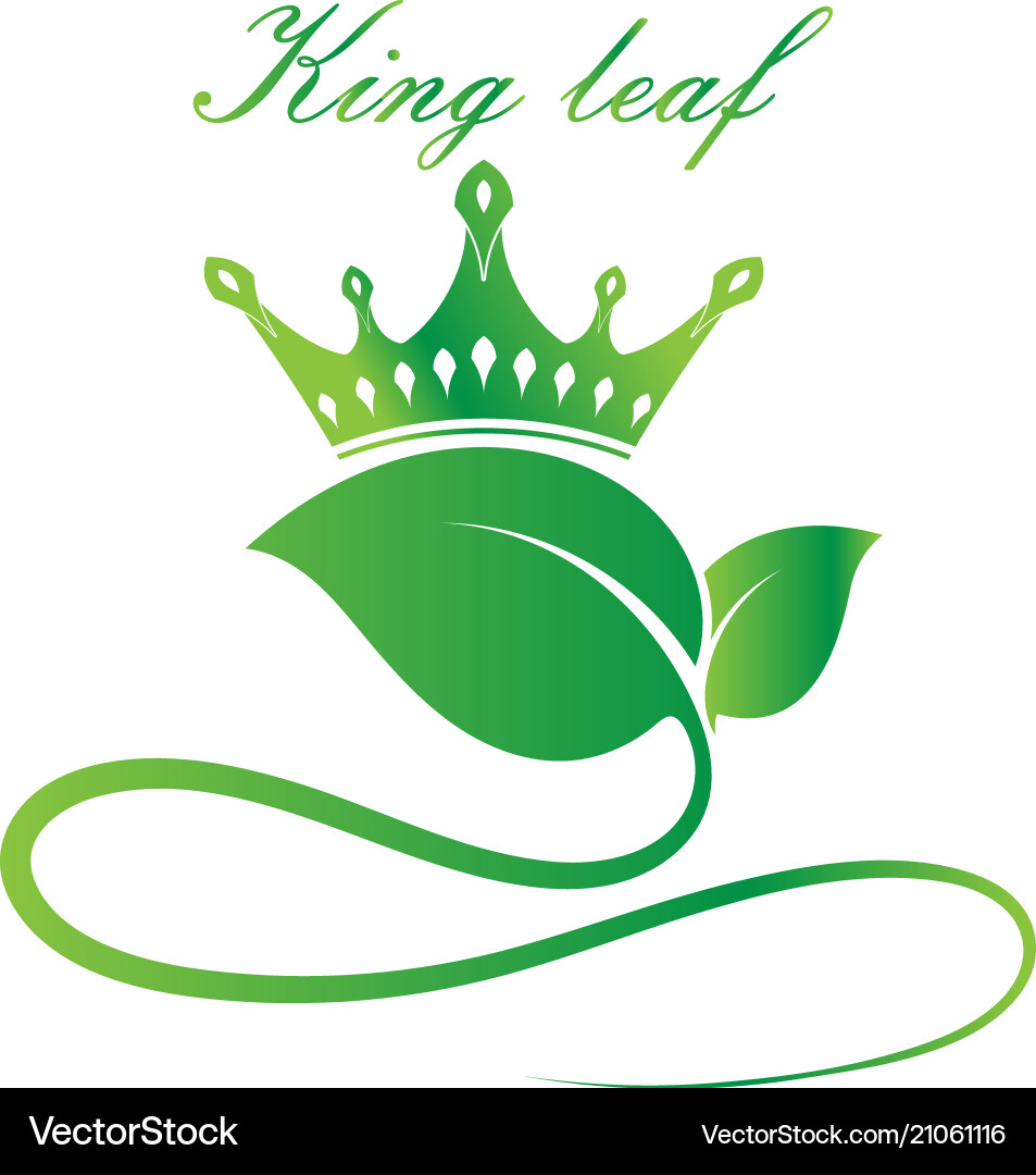 Leaf logo Royalty Free Vector Image - VectorStock