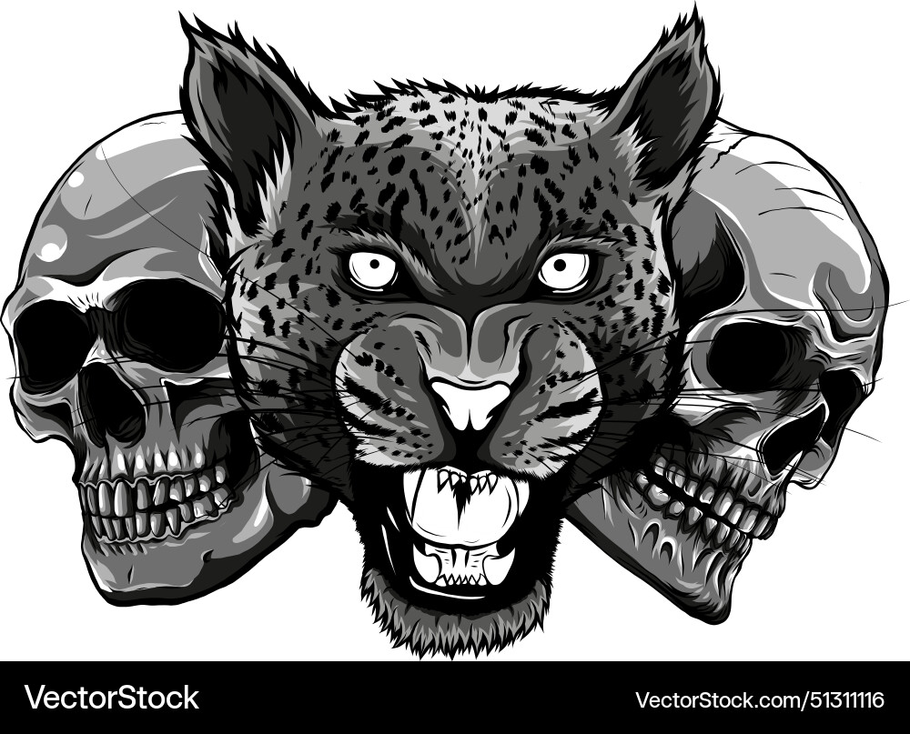 Monochrome leopard face with two human skull Vector Image