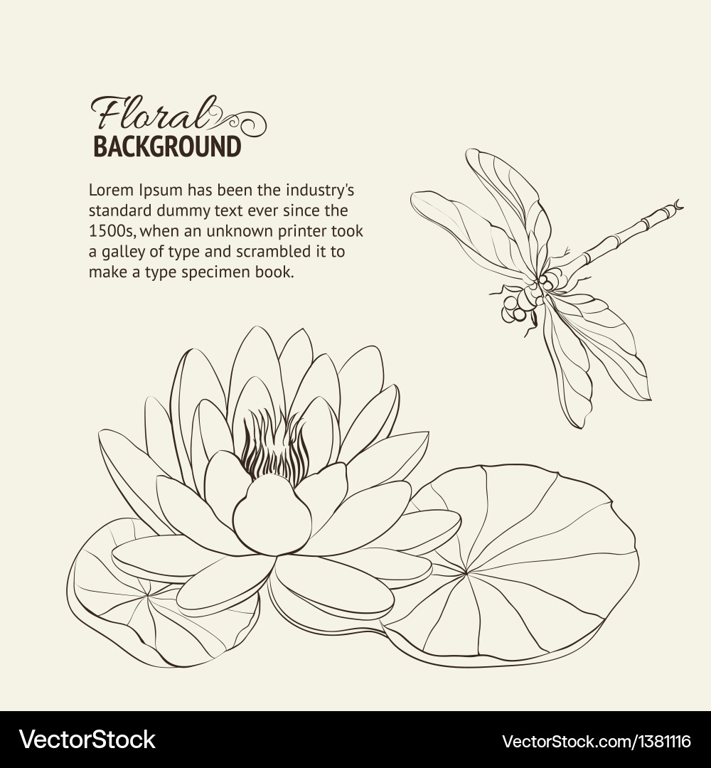 Water lily and dragonfly Royalty Free Vector Image