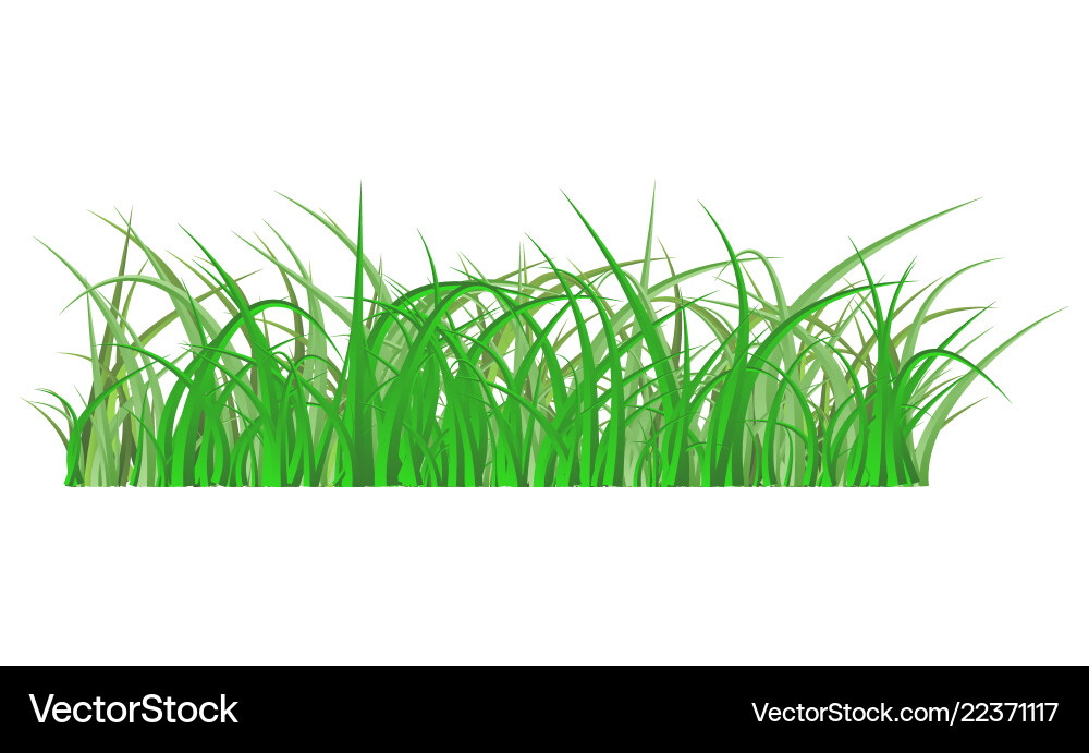 Green grass isolated symbol icon design Royalty Free Vector