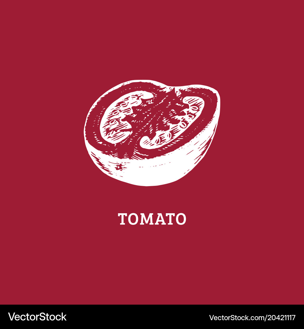Hand drawn sliced tomato Royalty Free Vector Image