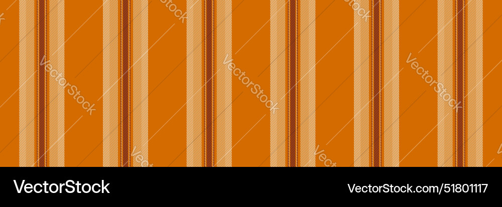 Mexico lines pattern fall textile stripe fabric Vector Image