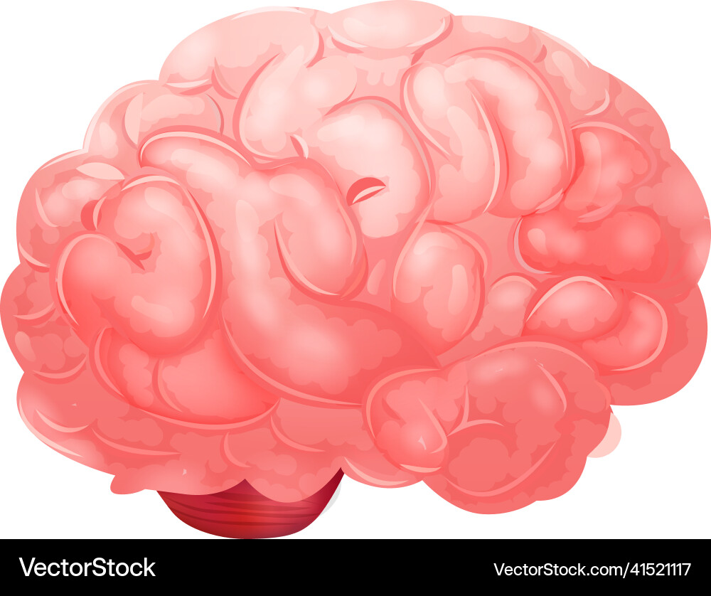 Realistic human brain composition Royalty Free Vector Image