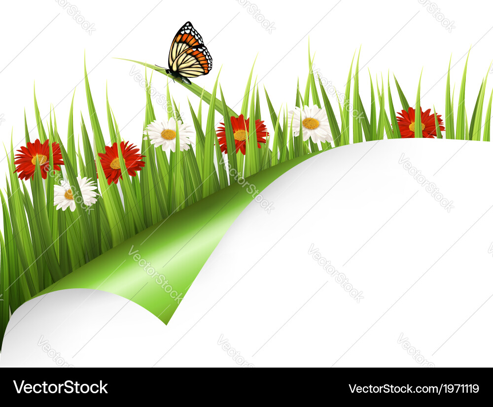 Spring background with flowers grass Royalty Free Vector