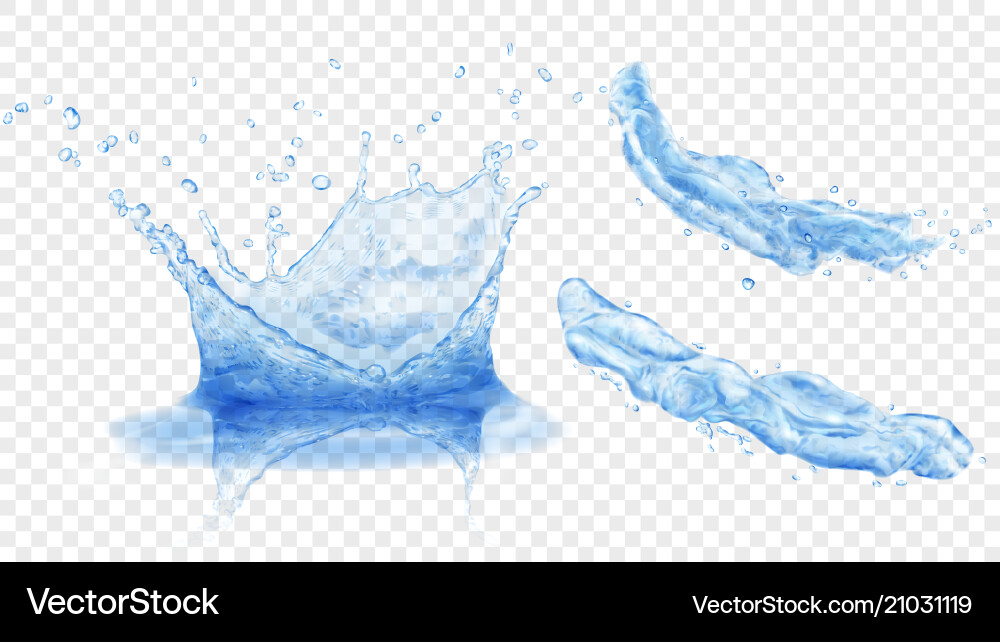 Water crown and splashes Royalty Free Vector Image