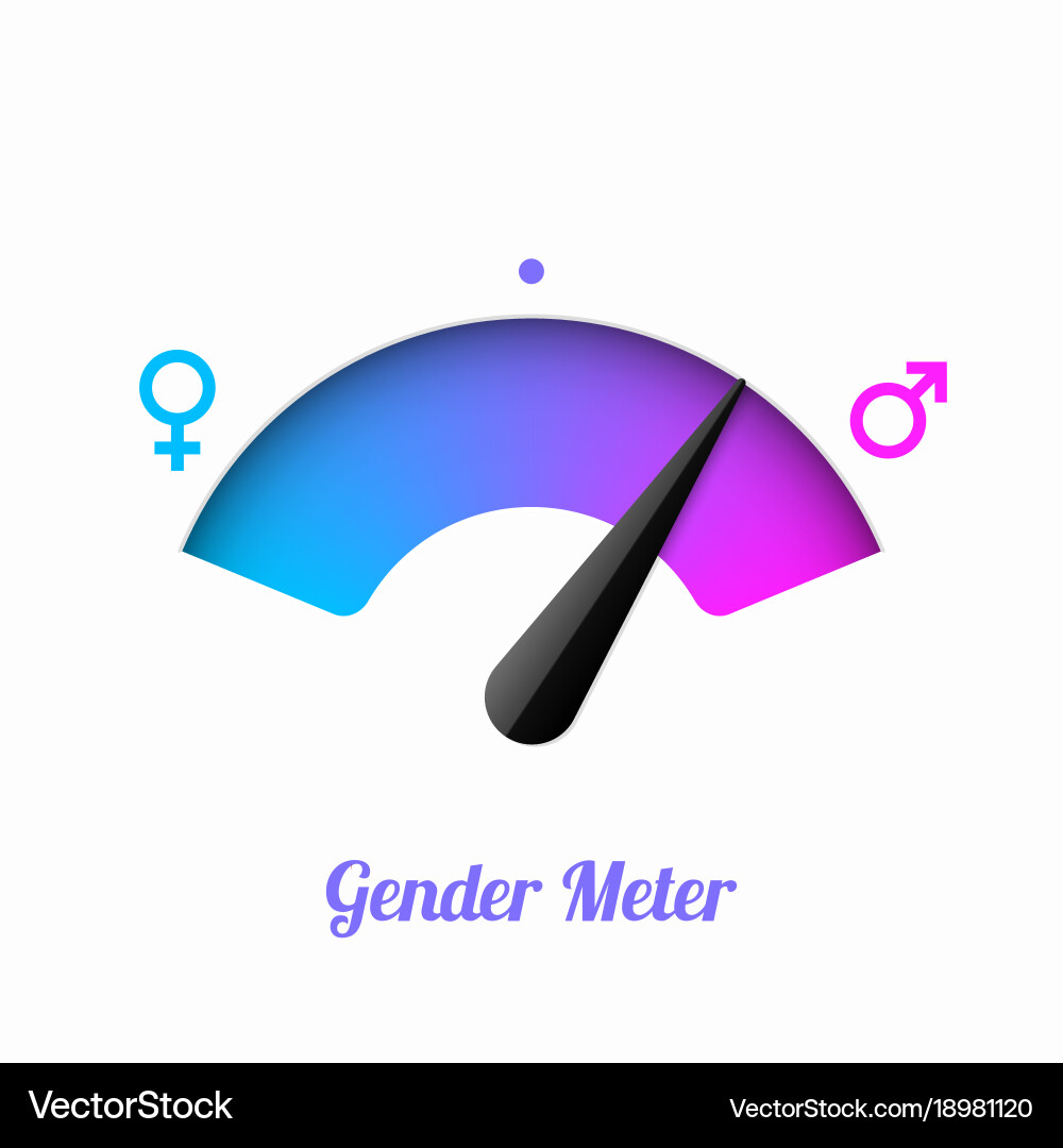 Gender meter statistics between men and women Vector Image