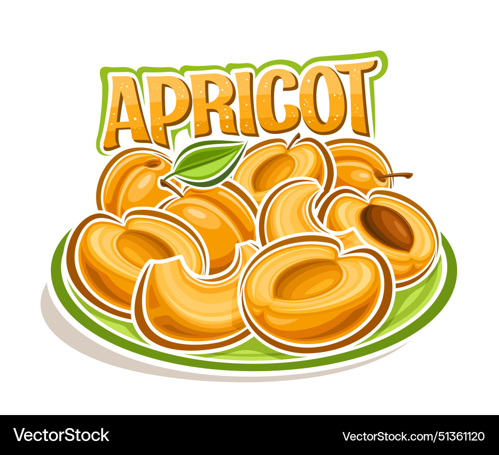 Logo for apricot Royalty Free Vector Image - VectorStock