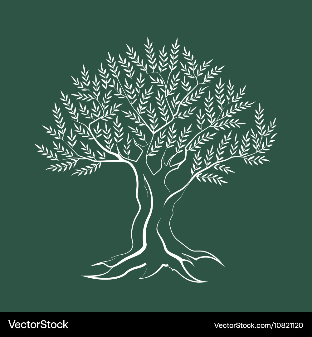 Olive tree outline silhouette icon Royalty Free Vector Image