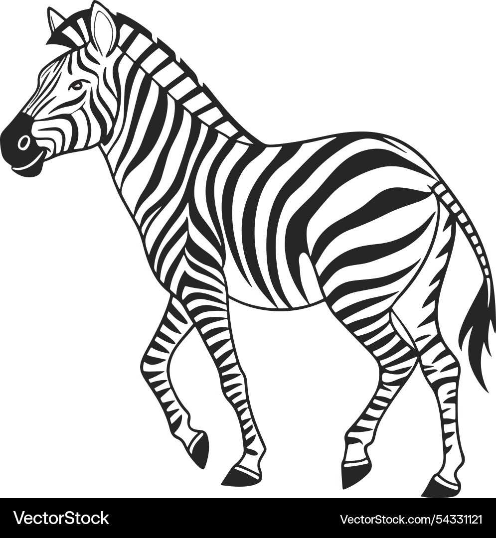 Zebra Royalty Free Vector Image - VectorStock
