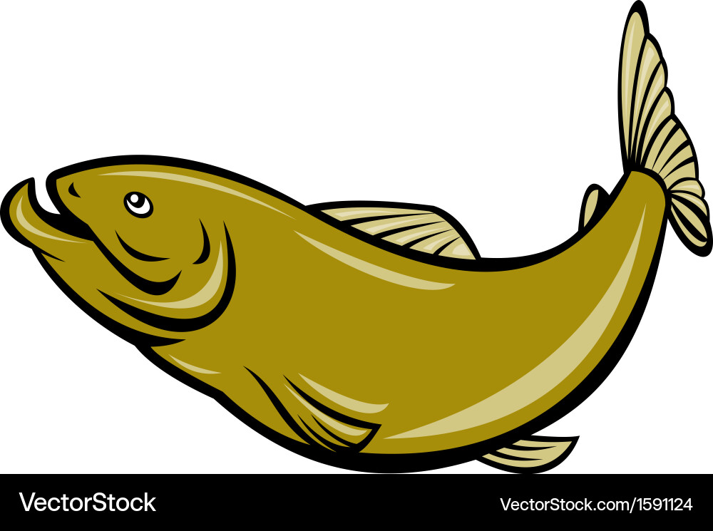 Cartoon trout fish jumping side Royalty Free Vector Image