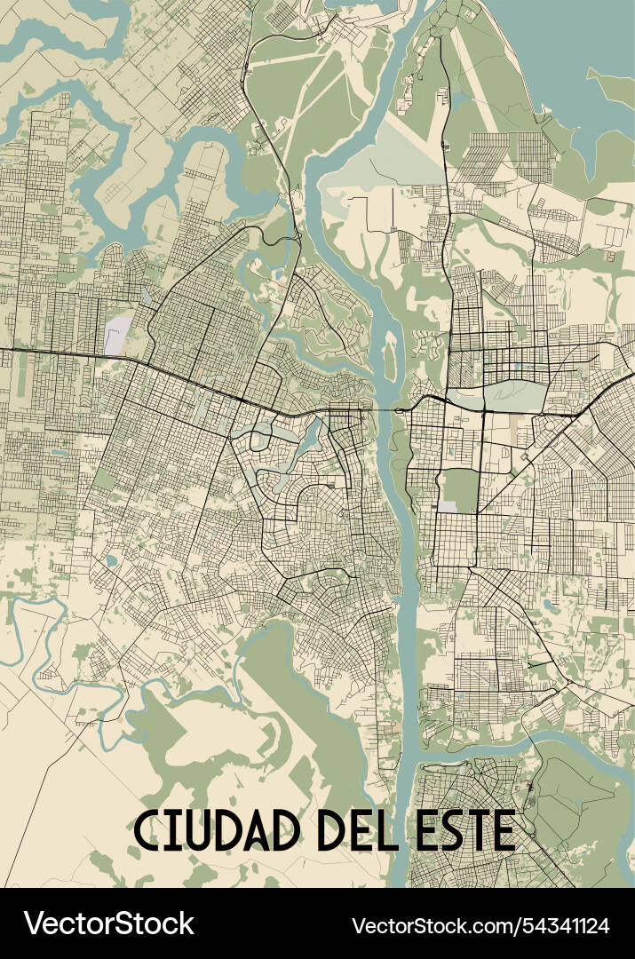 Detailed map of ciudad del este Royalty Free Vector Image