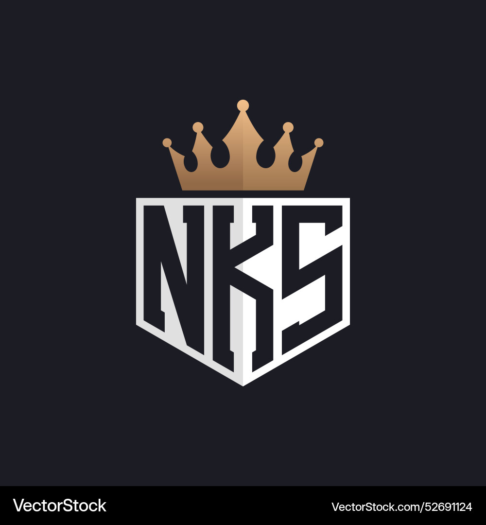 Luxury nks logo with crown elegant initials Vector Image
