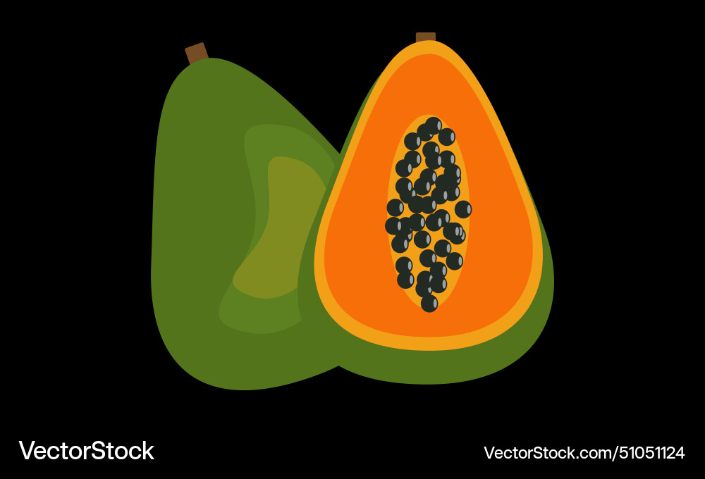 Papaya design Royalty Free Vector Image - VectorStock