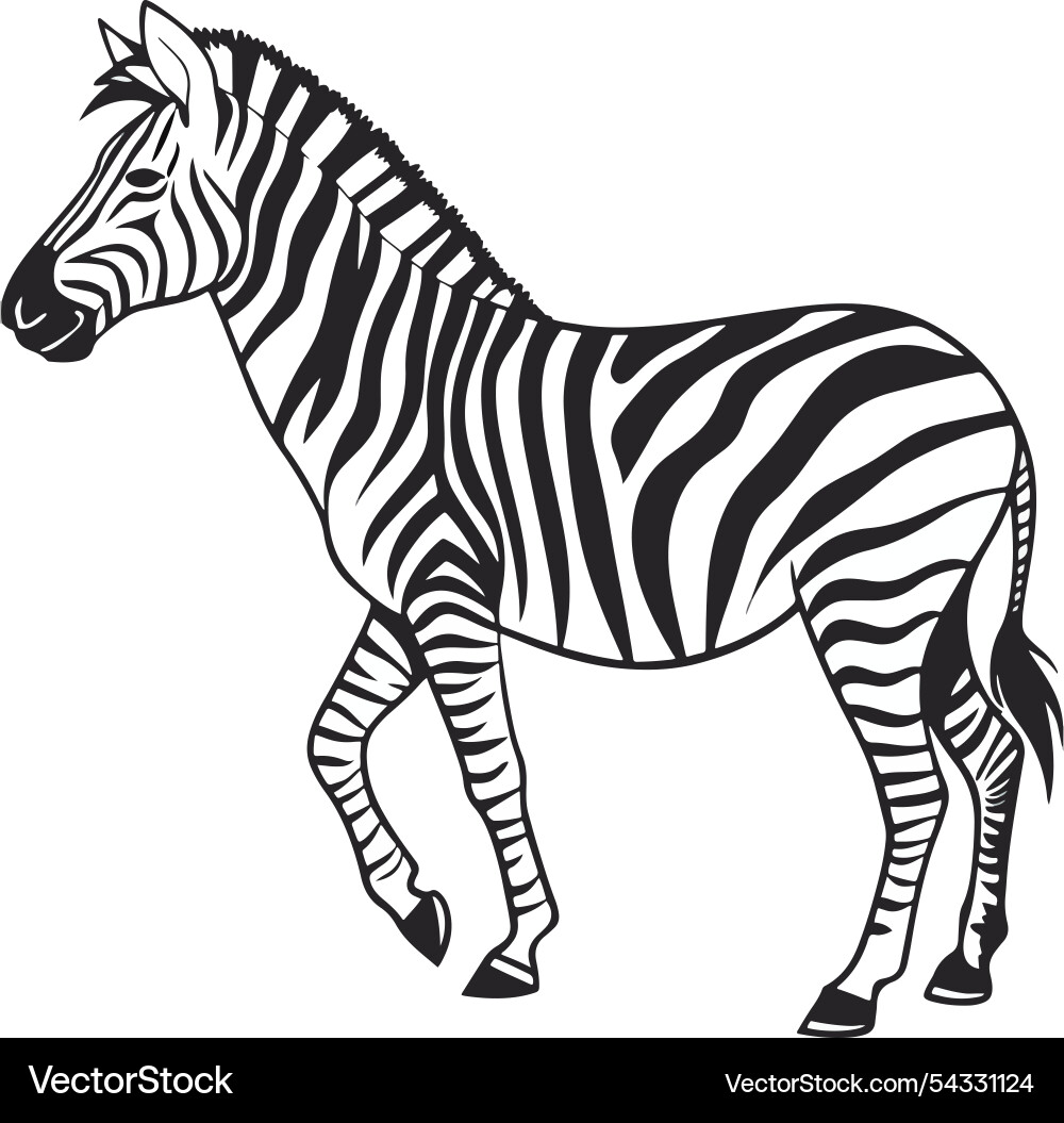 Zebra Royalty Free Vector Image - VectorStock