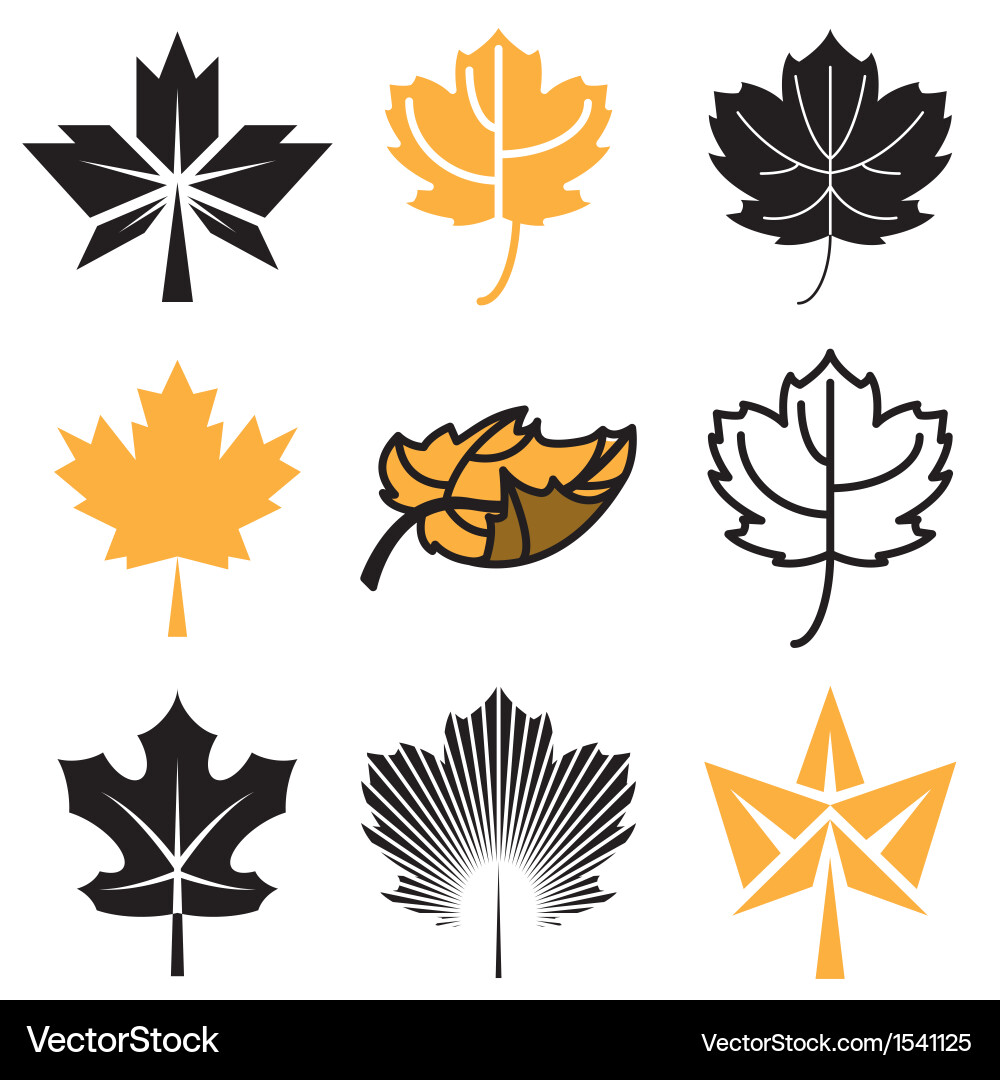 Logo-Symbole Mapleaf Lizenzfreies Vektorbild