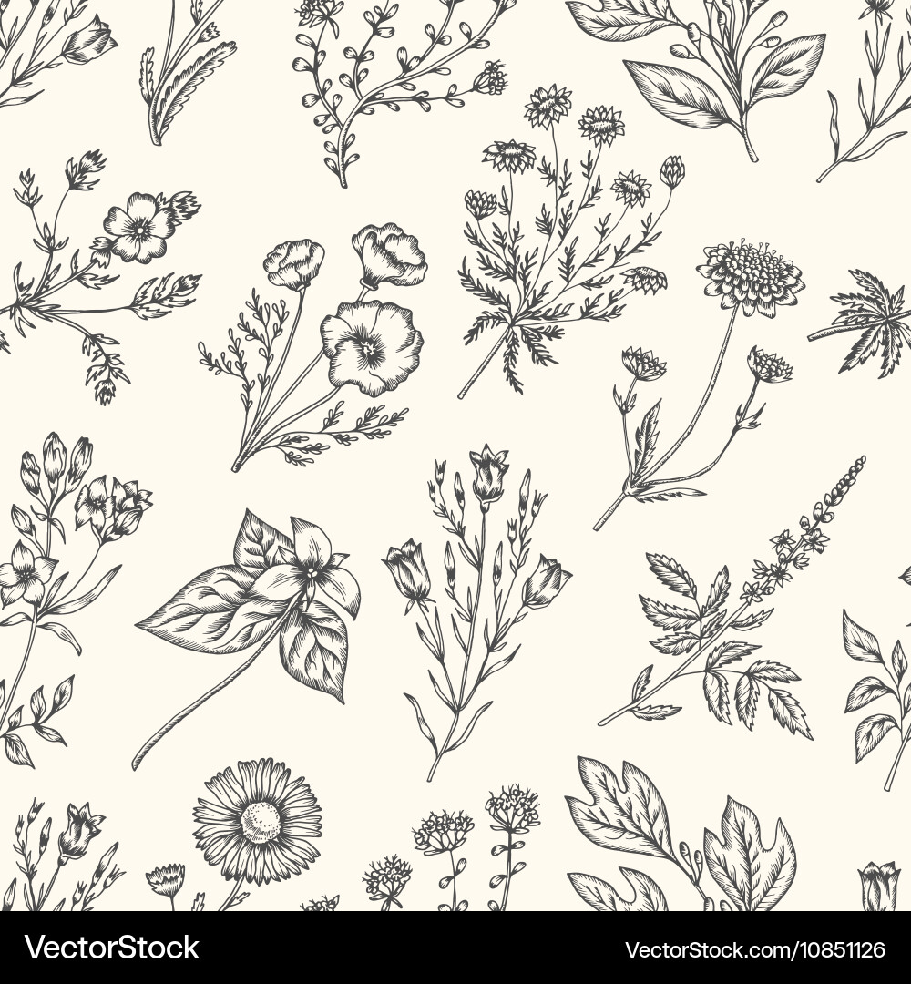 Botanical Wildflower Pattern Royalty Free Vector Image