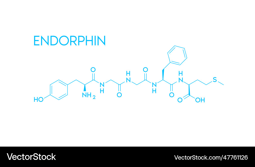 Endorphin Chemical Structure Page 2 | Endorphin Vectors Download