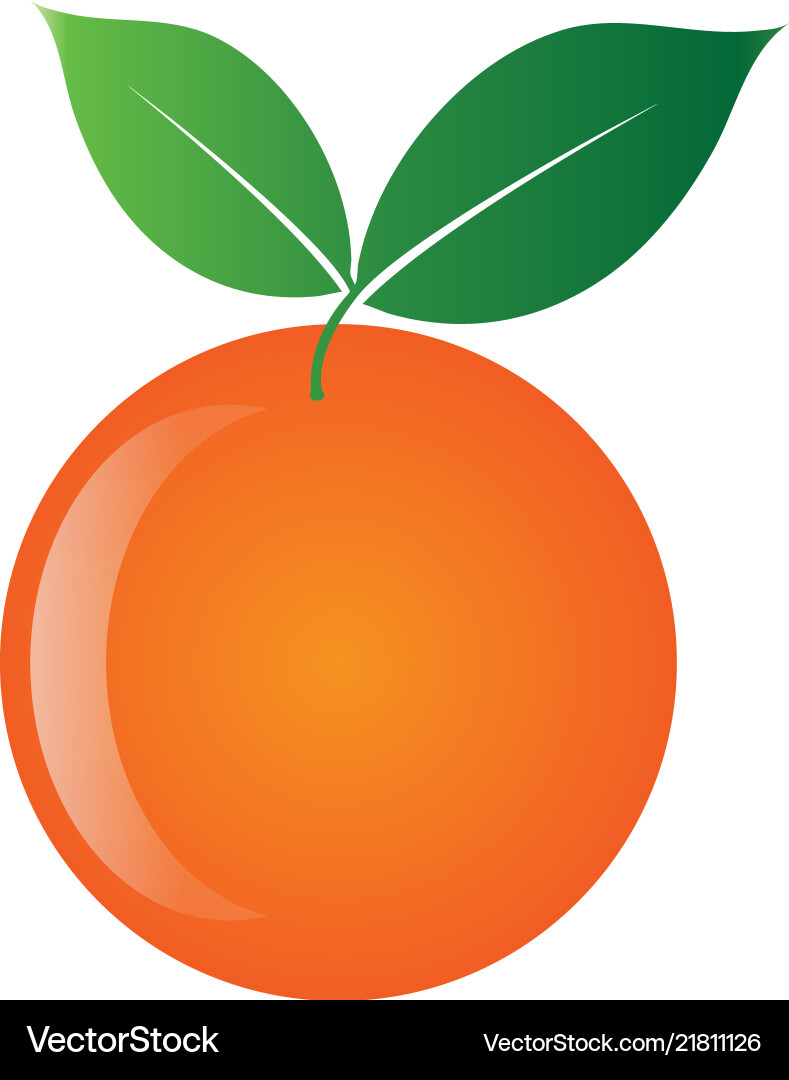Orange Fruit Template