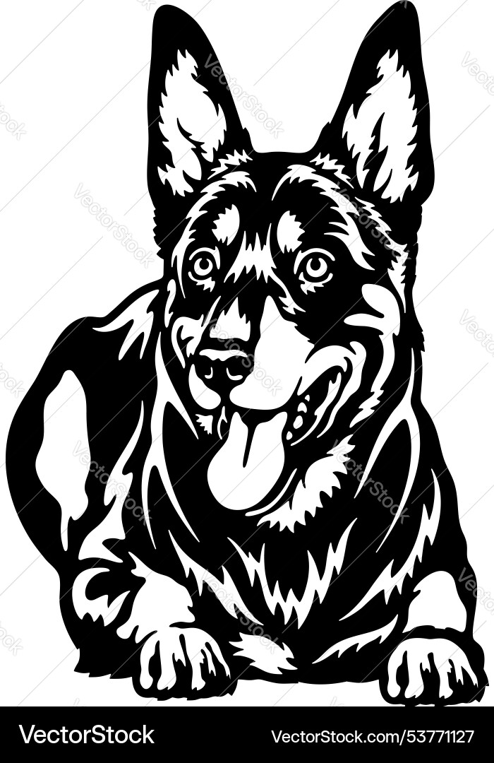 Australian Kelpie Silhouette Pet Cut File Vector Image