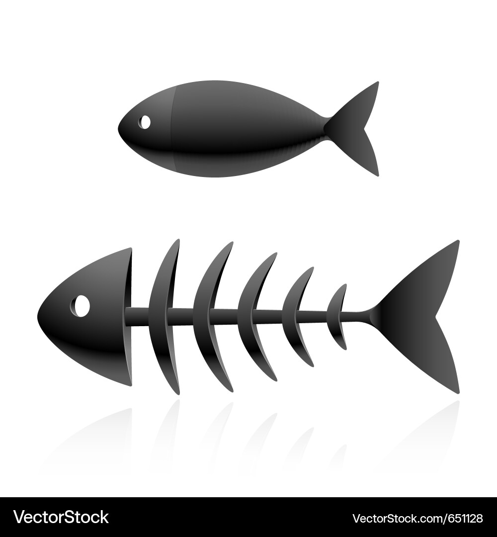 Animals Backbone Vector Images (over 110)